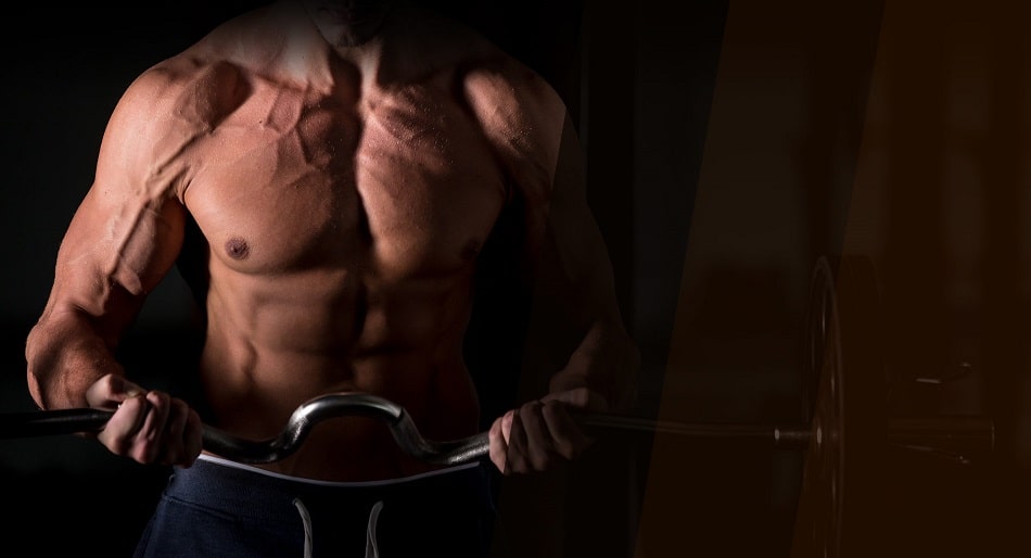 Fit Body Building | Sharjah